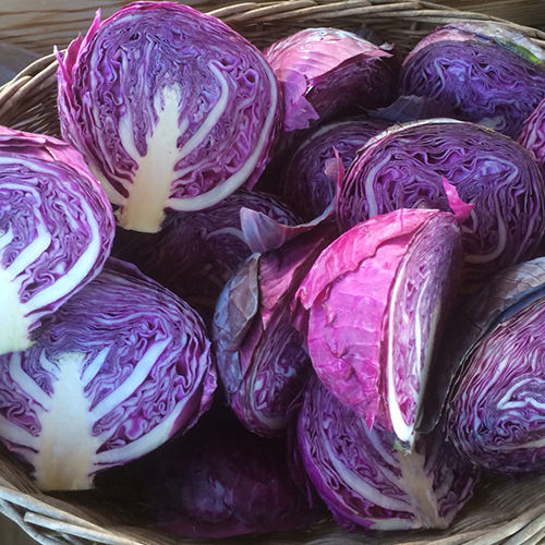 Sliced Purple Cabbage - WILD AT HEART OJAI